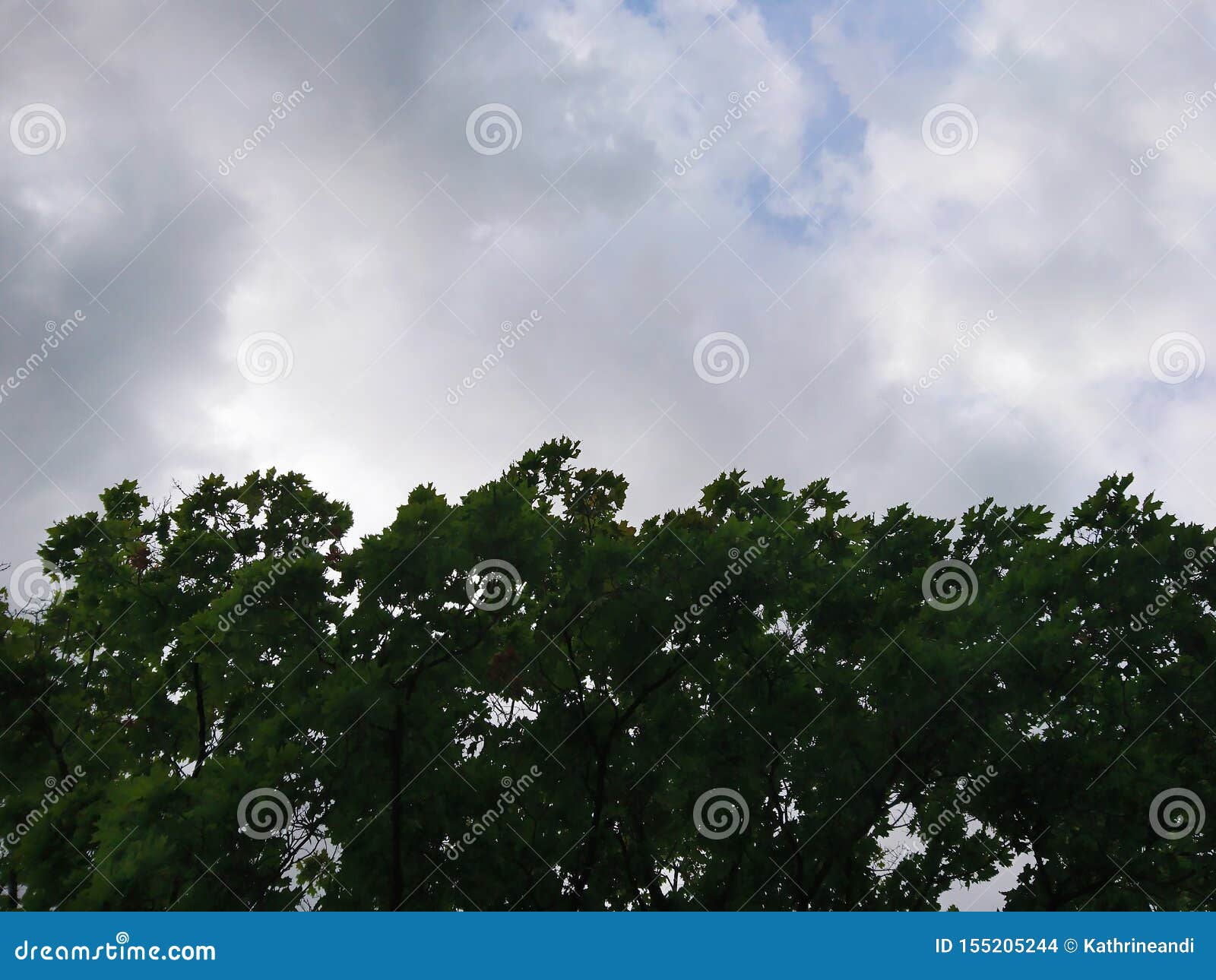 Sky Clouds Dramatic View with Dark Green Trees Line Stock Photo - Image ...