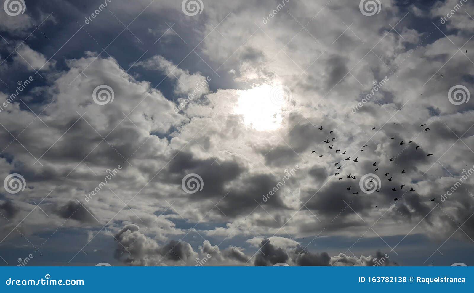 Sky with Clouds and Flock of Birds Flying Stock Photo - Image of ...