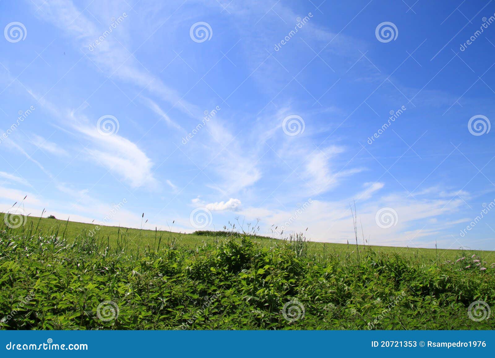 Sky with clouds and grass stock image. Image of trip - 20721353
