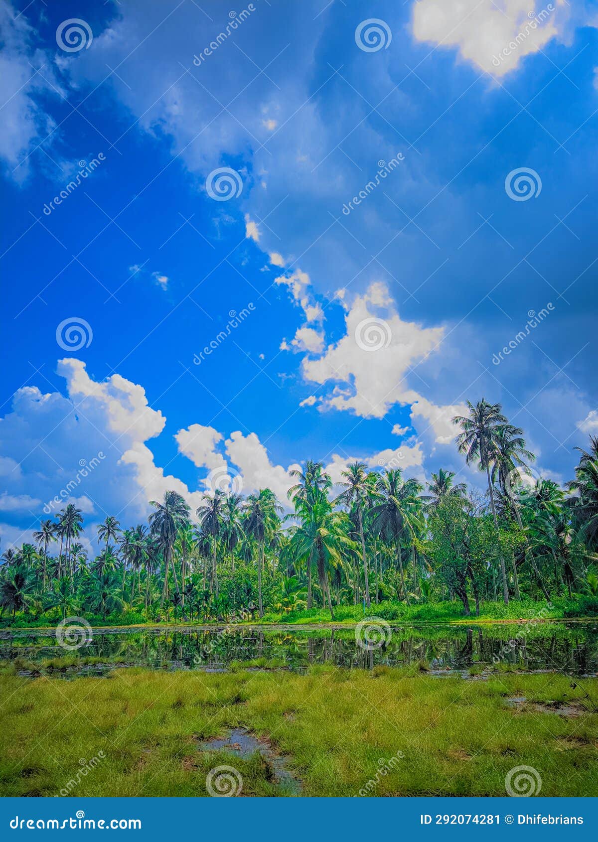 Sky, Clouds, Grass, Water and Land Stock Image - Image of grass, land ...
