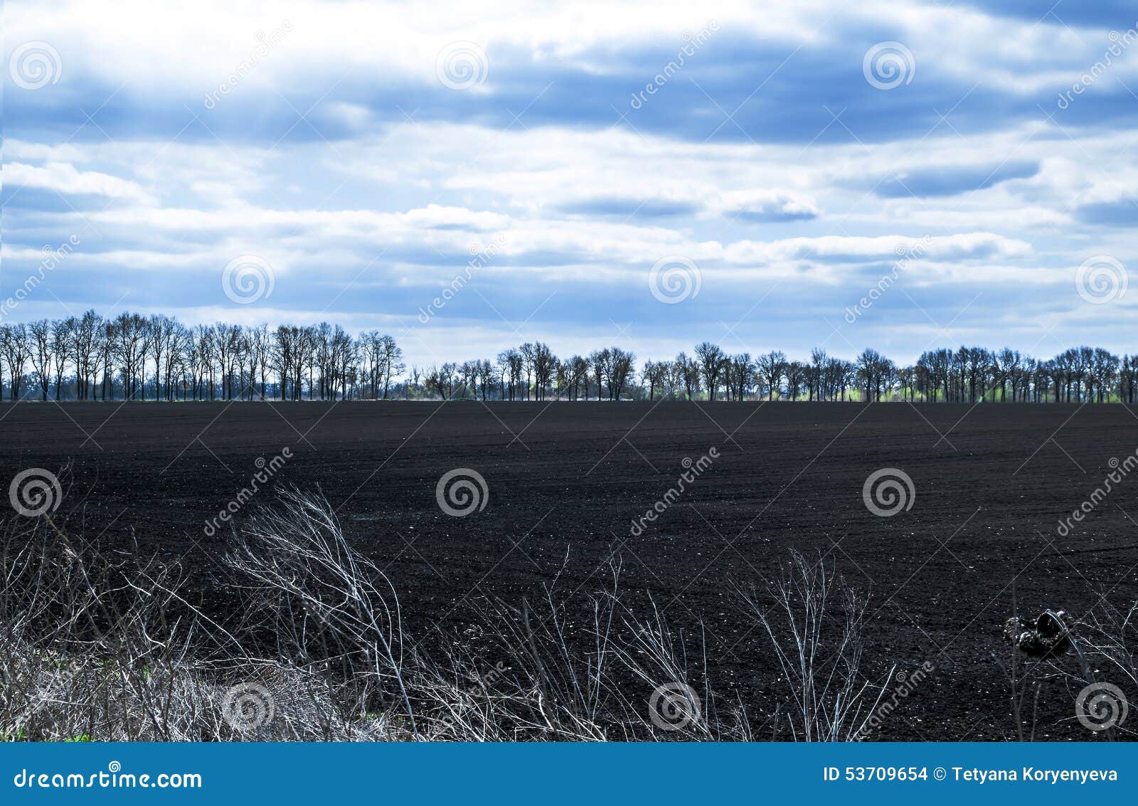 Sky with Clouds Over Black Fields Stock Photo - Image of lawn ...
