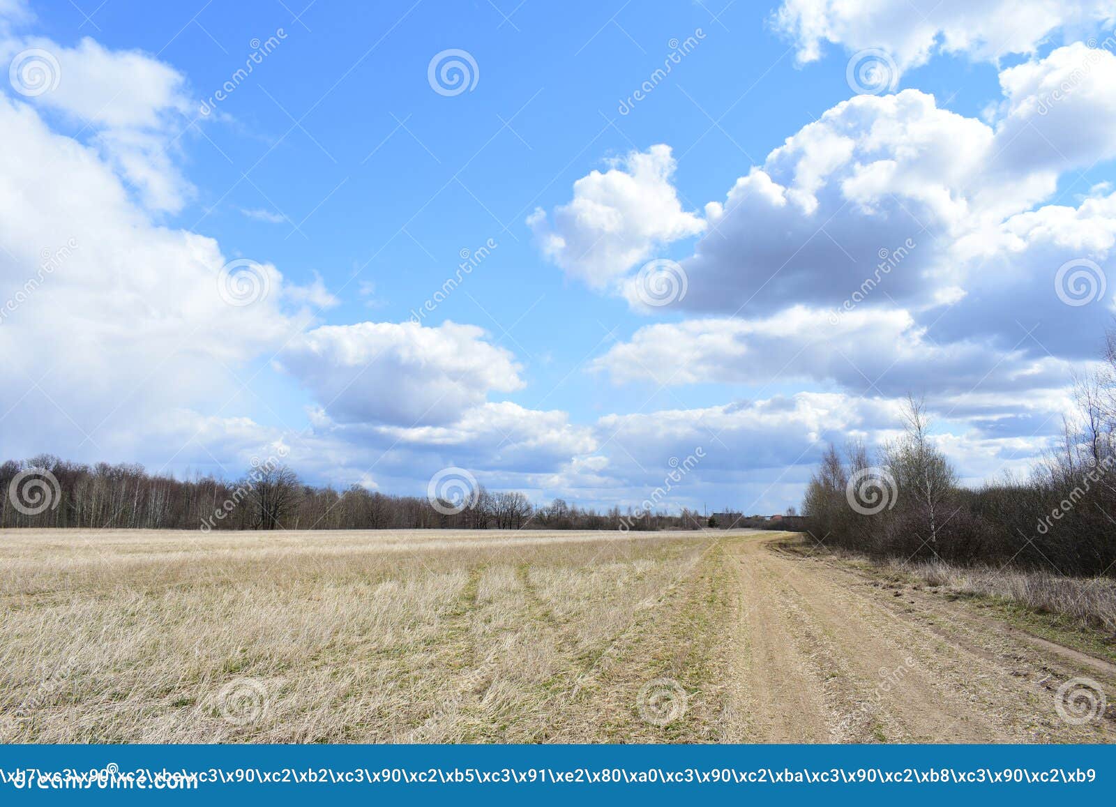 Sky, Clouds. Road through a Field of Grass. the Forest and the Trees ...