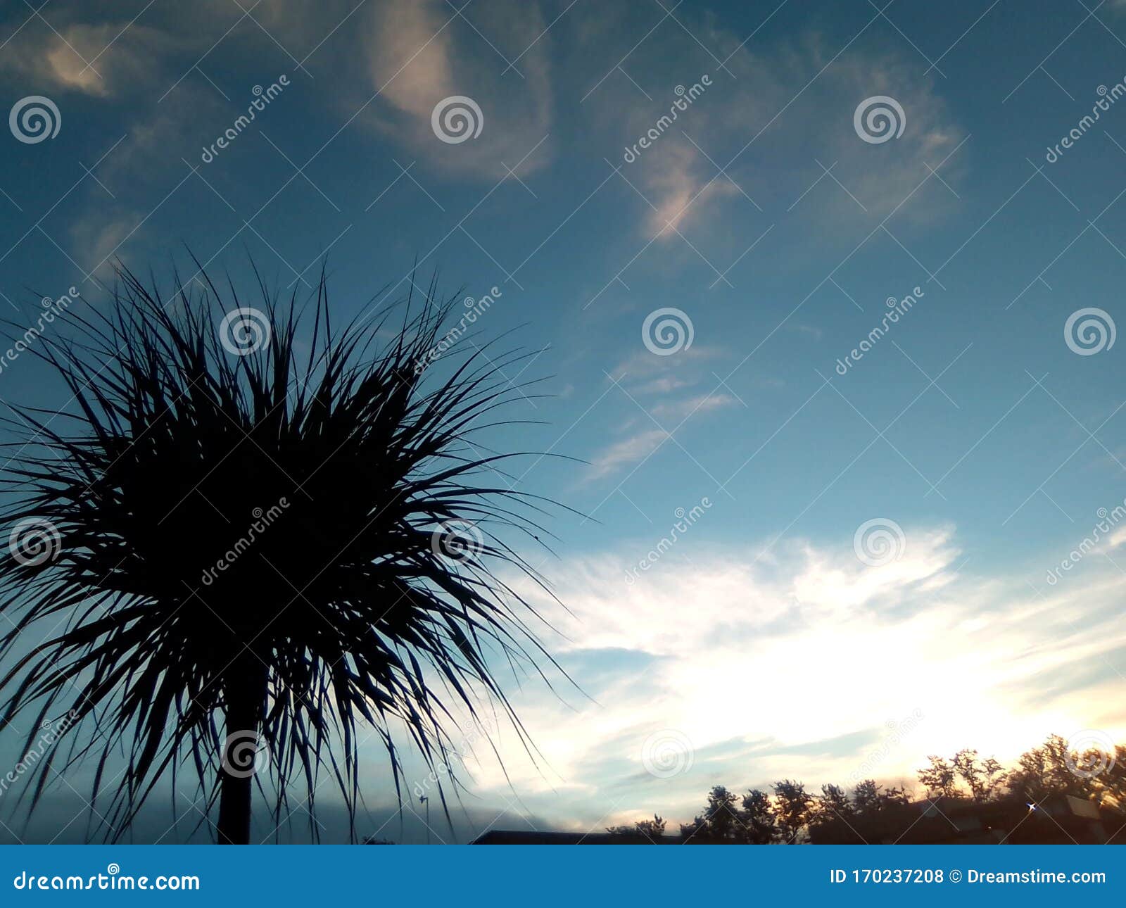 Sky clouds trees sun set stock photo. Image of trees - 170237208