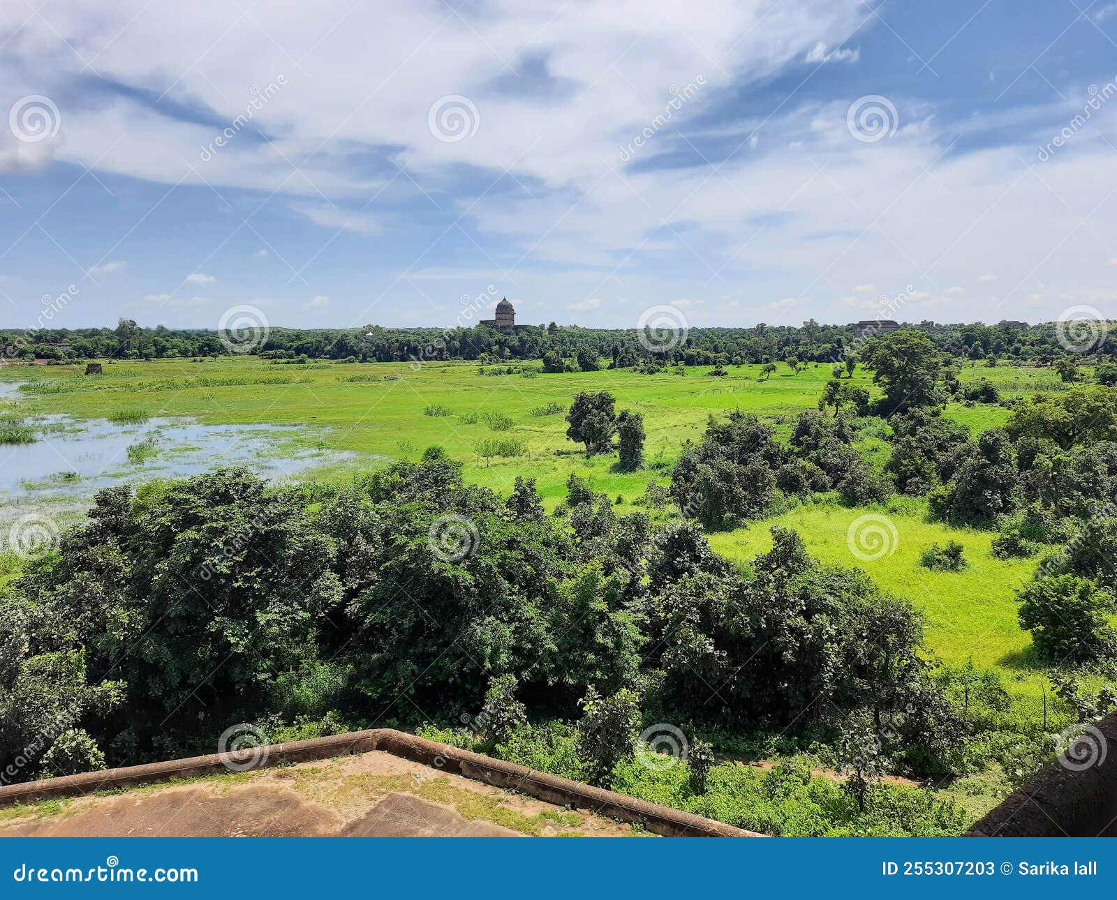 Sky, Clouds, Water, Ground, Trees, Plants, Grass. Stock Image - Image ...