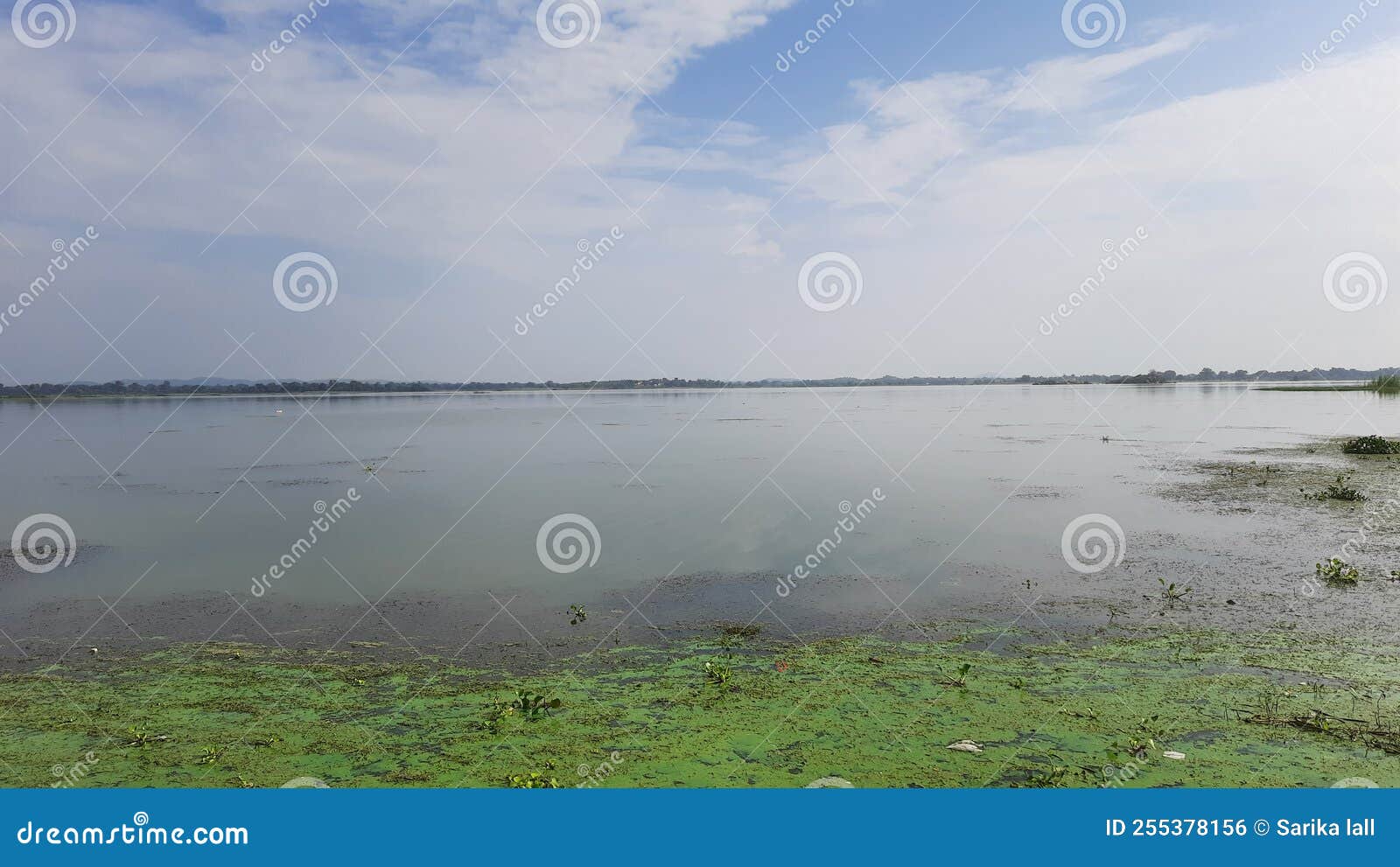 Sky, Clouds, Water, Trees, Grass Stock Photo - Image of clouds, ocean ...