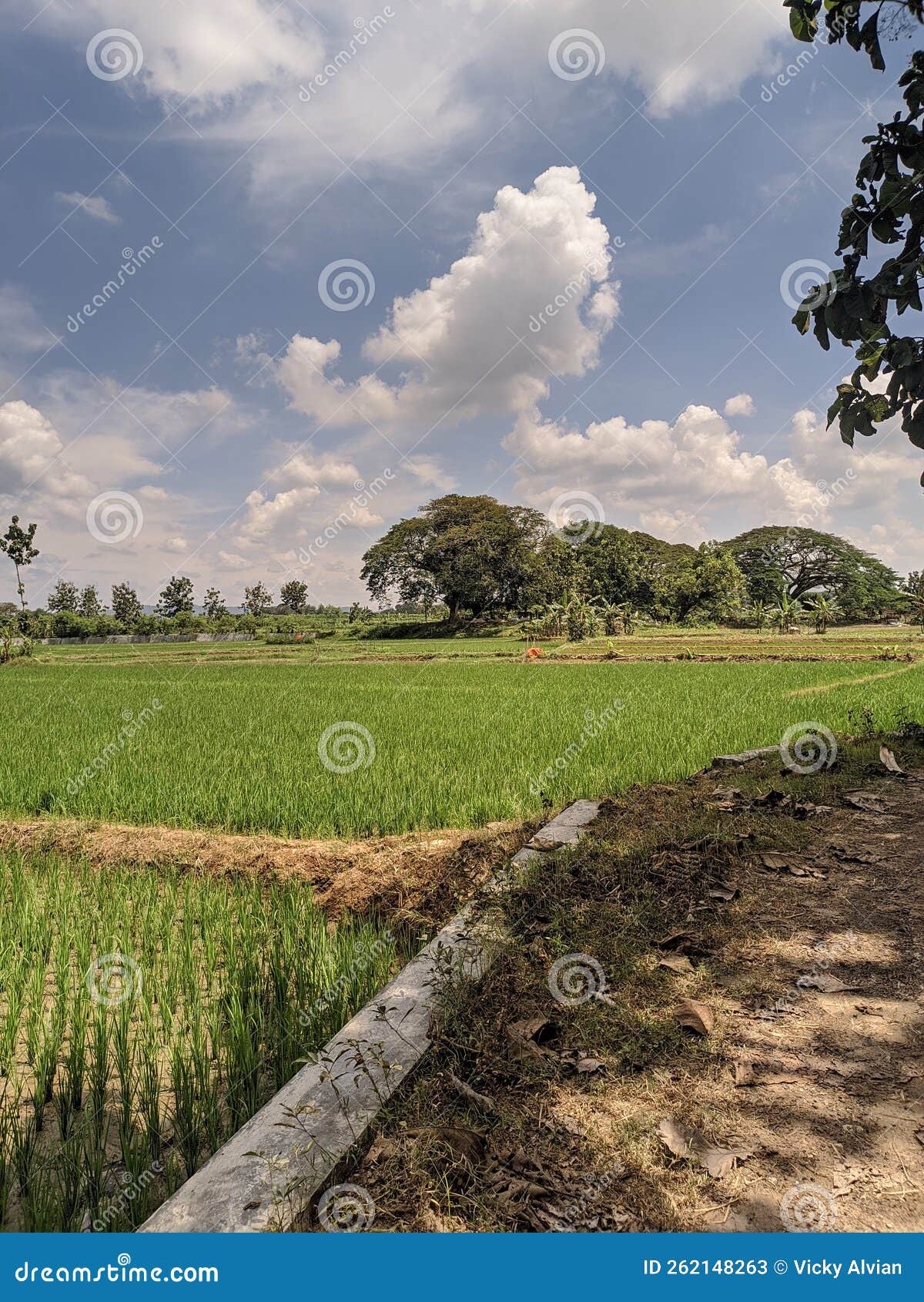 Sky cloudy at the farm stock image. Image of terrain - 262148263