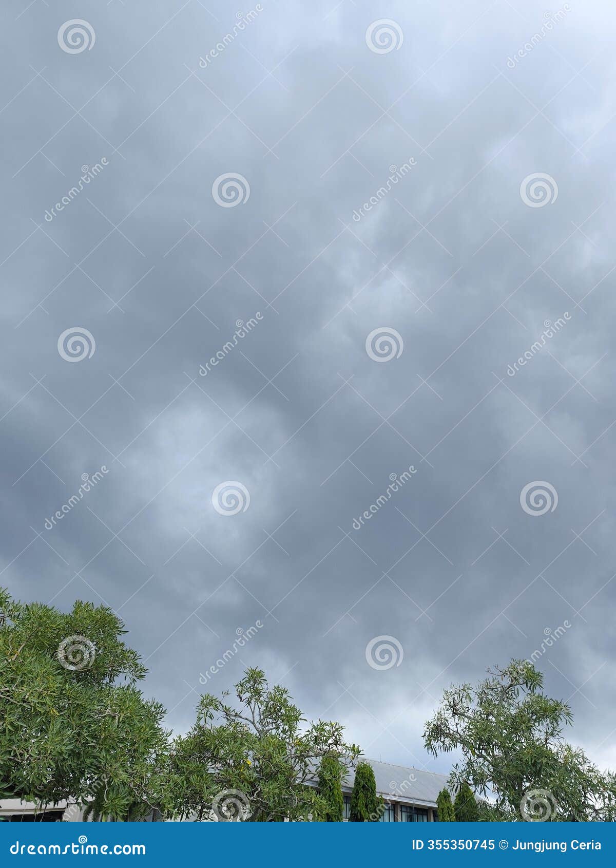 Cloudy Sky With Tree Tops Stock Photography | CartoonDealer.com #125861012