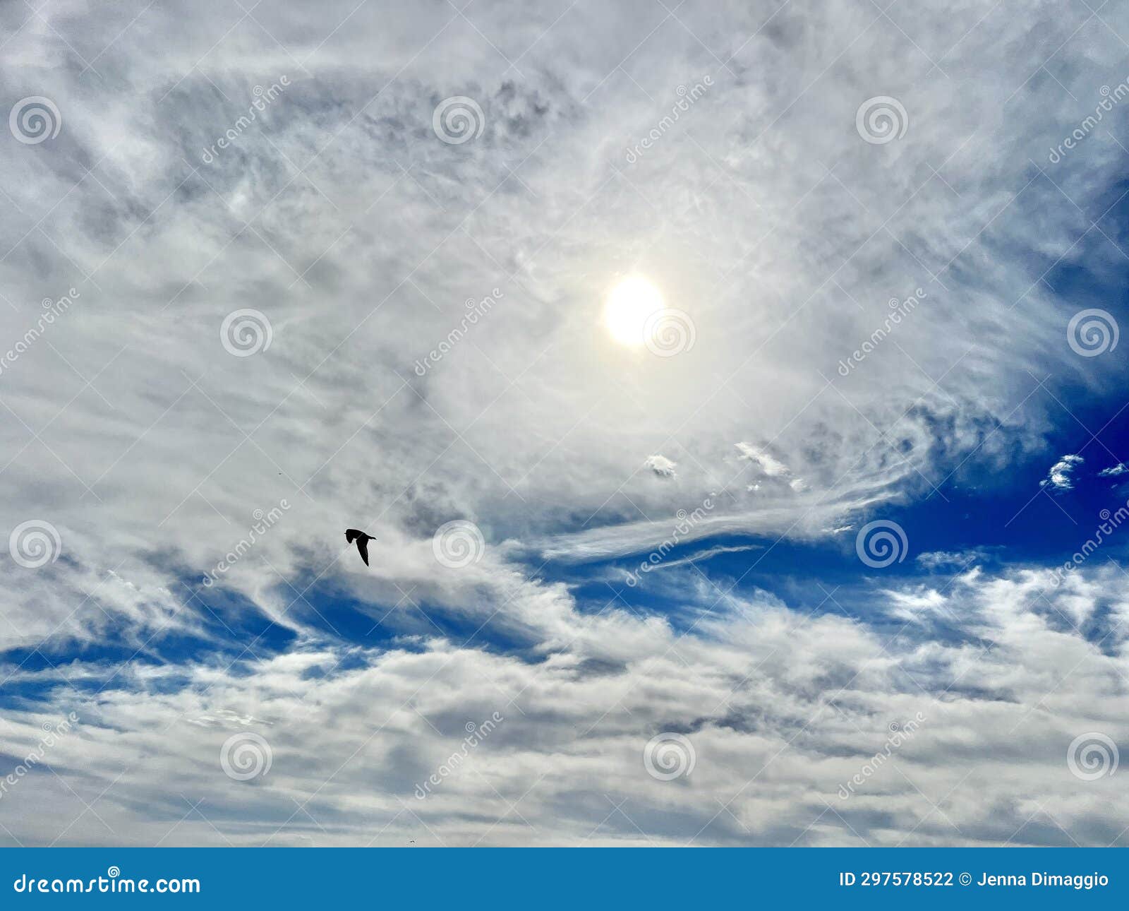Sky Dance: Bird Soaring Amidst Sunlit Clouds Stock Photo - Image of ...