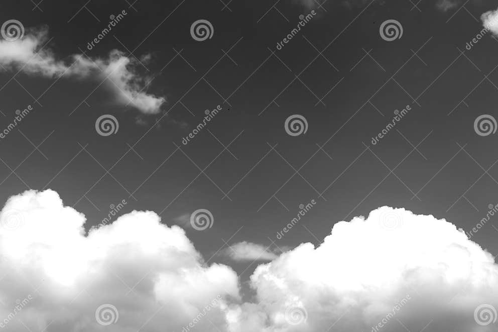 Nature background 2133 stock photo. Image of sunlight - 319759004