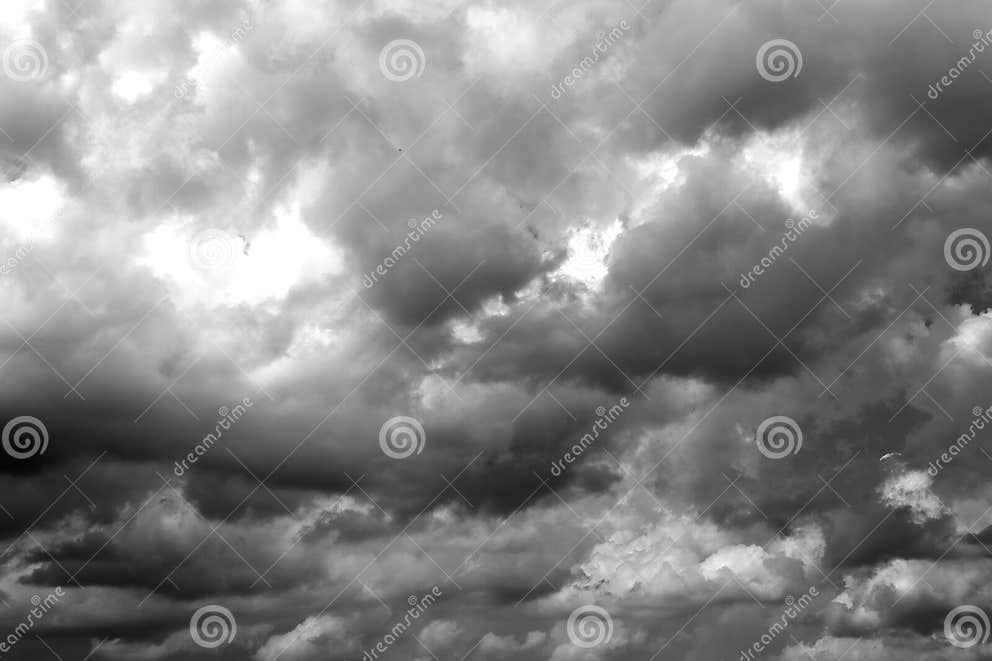Nature background 2140 stock image. Image of sunlight - 319759623