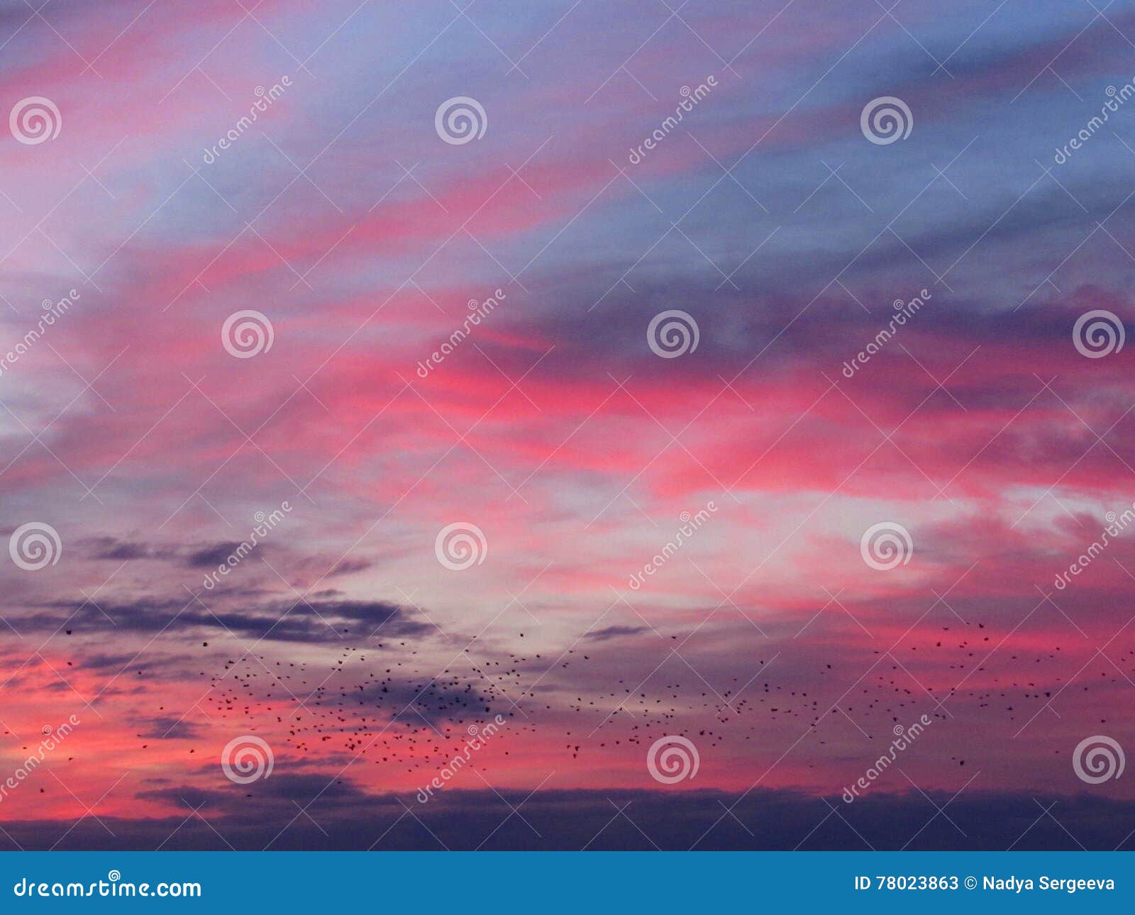 The sky at dawn stock image. Image of pink, dawn, perfectly - 78023863