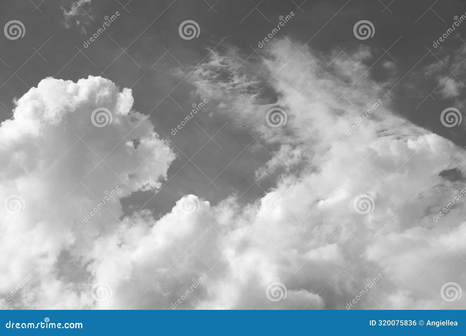 Nature background 3134 stock photo. Image of line, shapes - 320075836