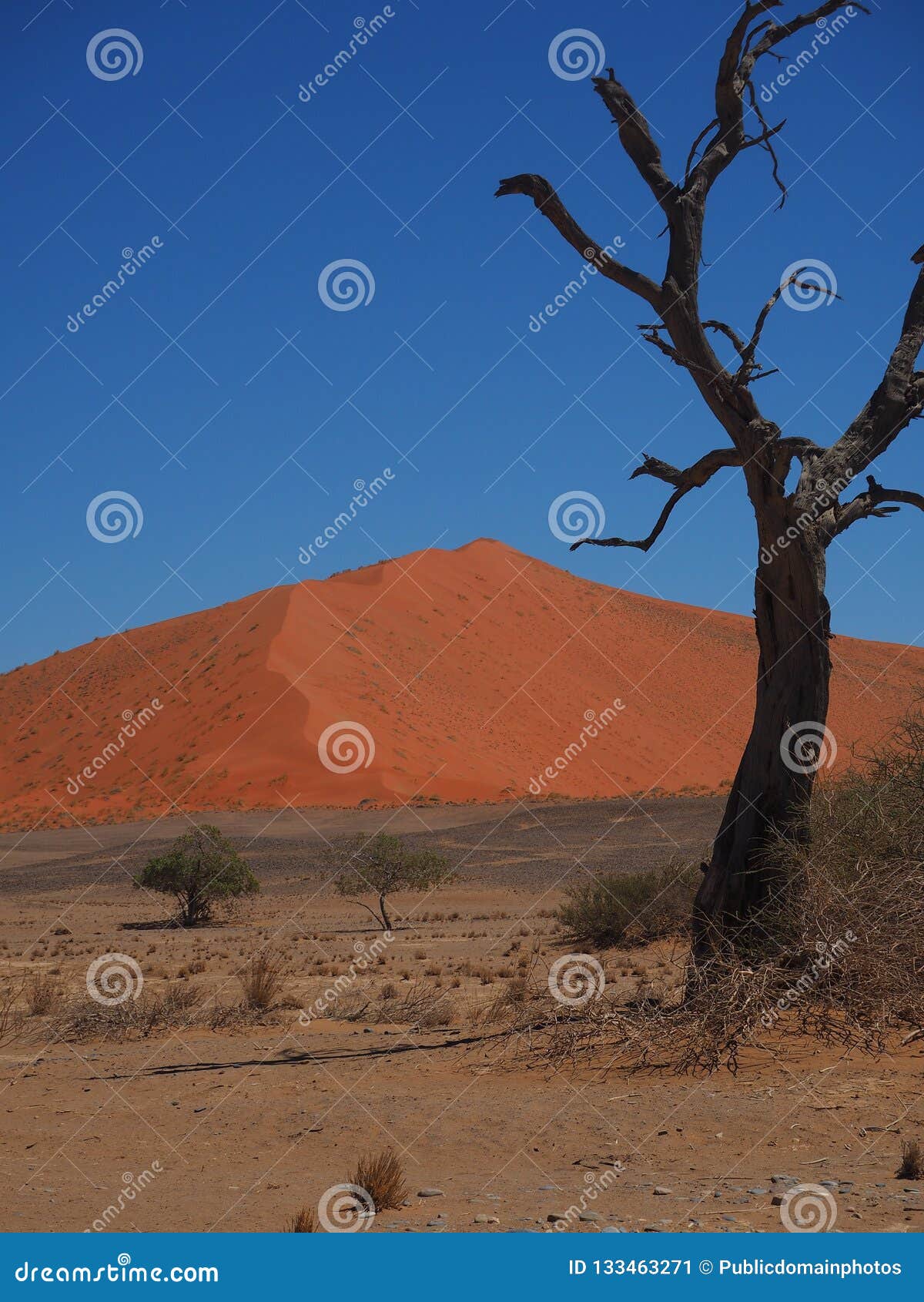 Sky, Ecosystem, Desert, Aeolian Landform Picture. Image: 133463271