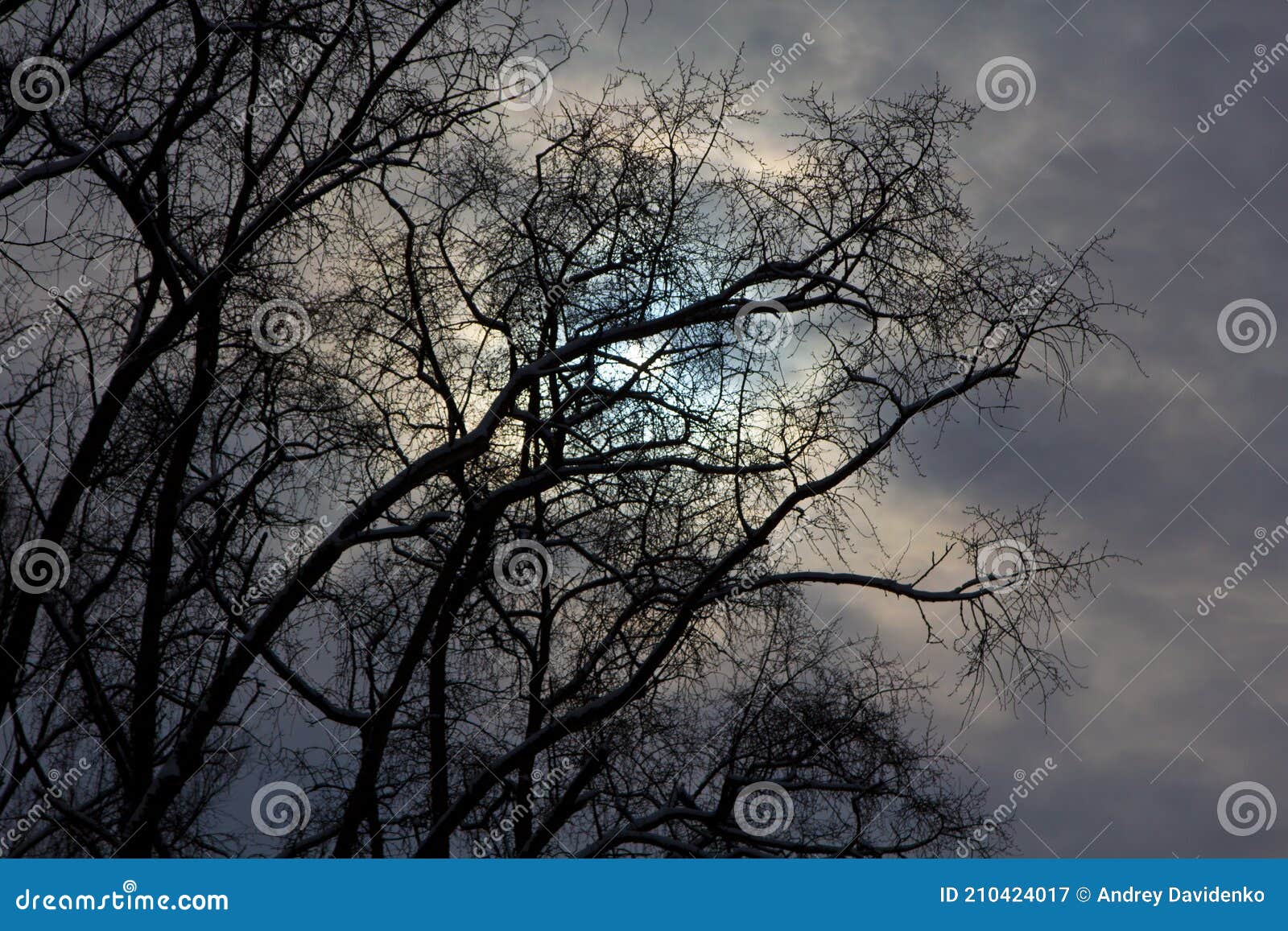 The Sky at the End of Winter Stock Image - Image of pink, anticipation ...