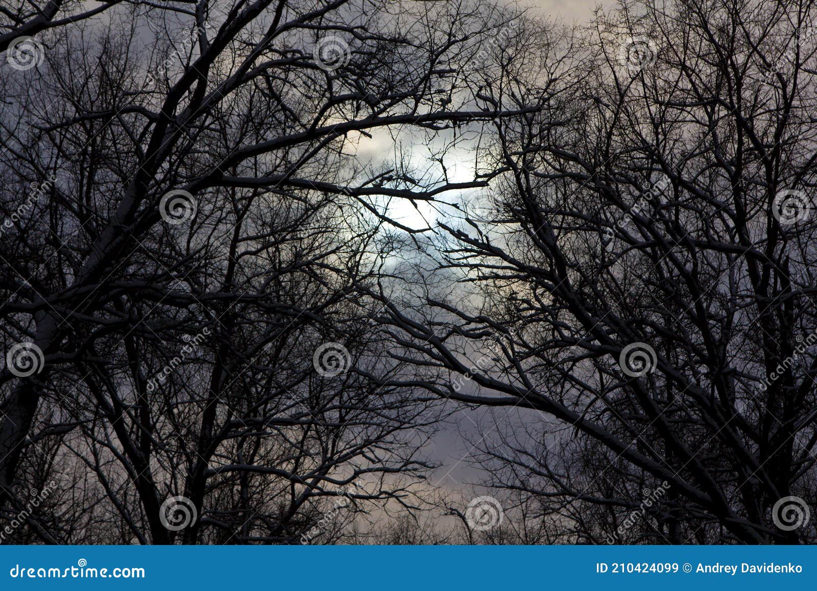 The Sky at the End of Winter Stock Image - Image of color, beauty ...