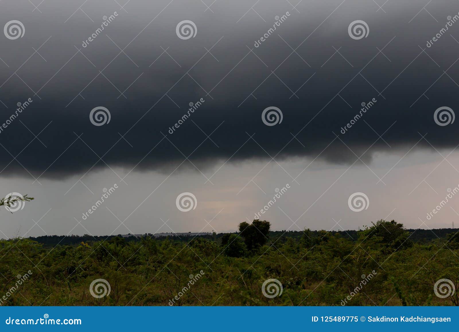 Sky in the Evening Befor Rain Stock Image - Image of forest, beautiful ...