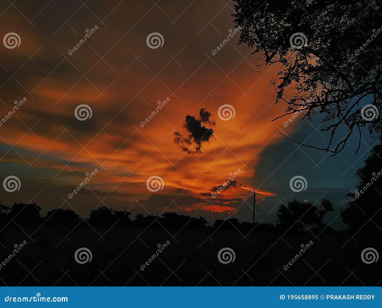 Sky Evening Sunset Tree Clouds Night Colourful Sky Stock Image - Image ...