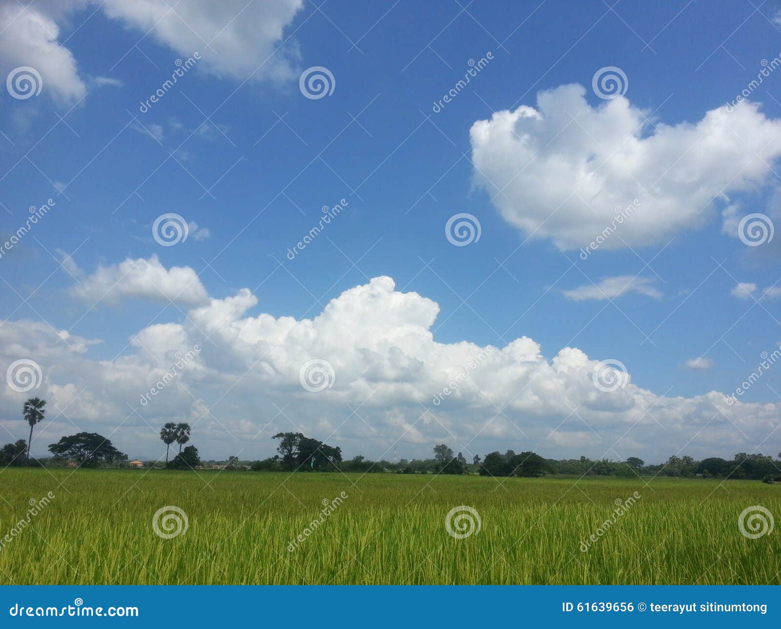 Sky on farm stock photo. Image of cloud, farm, fresh - 61639656