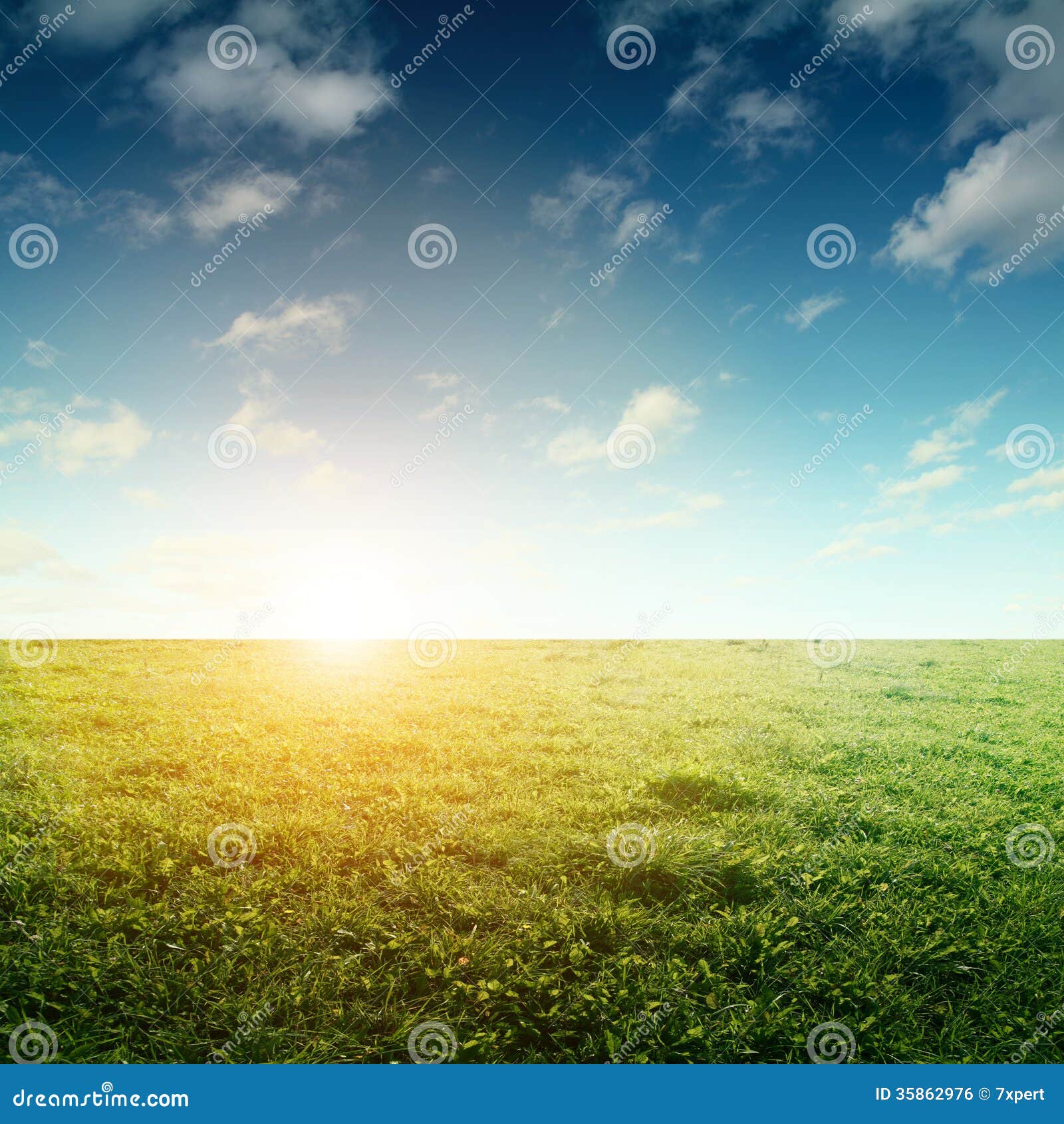 Sky and field stock photo. Image of evening, landscape - 35862976