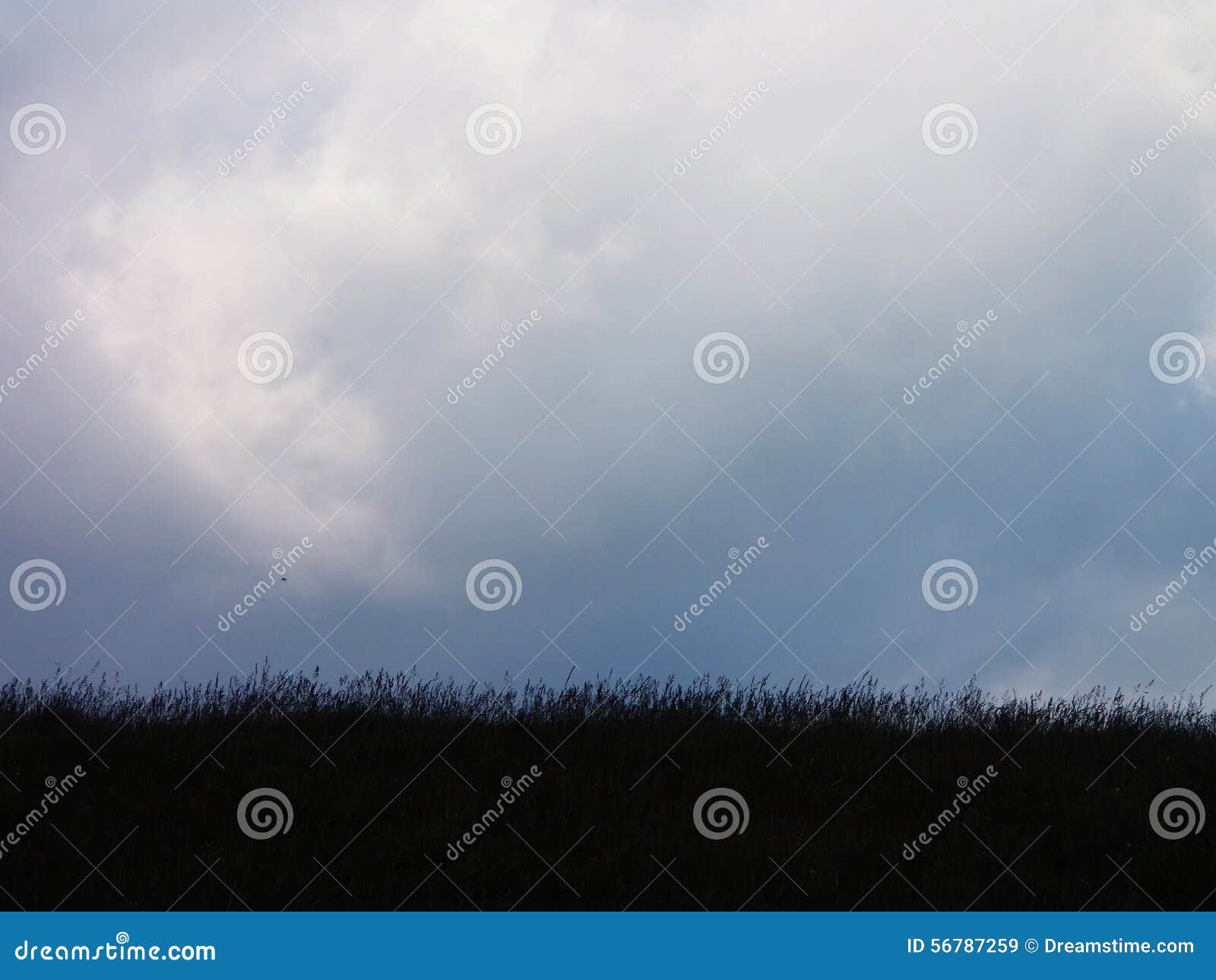 The sky stock image. Image of windy, light, dark, wind - 56787259