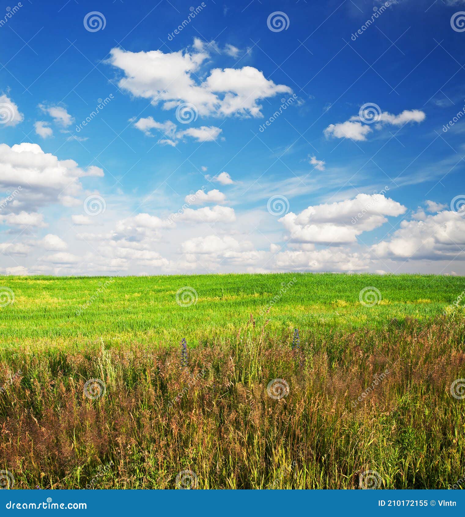 Sky and fields stock image. Image of weather, meadow - 210172155