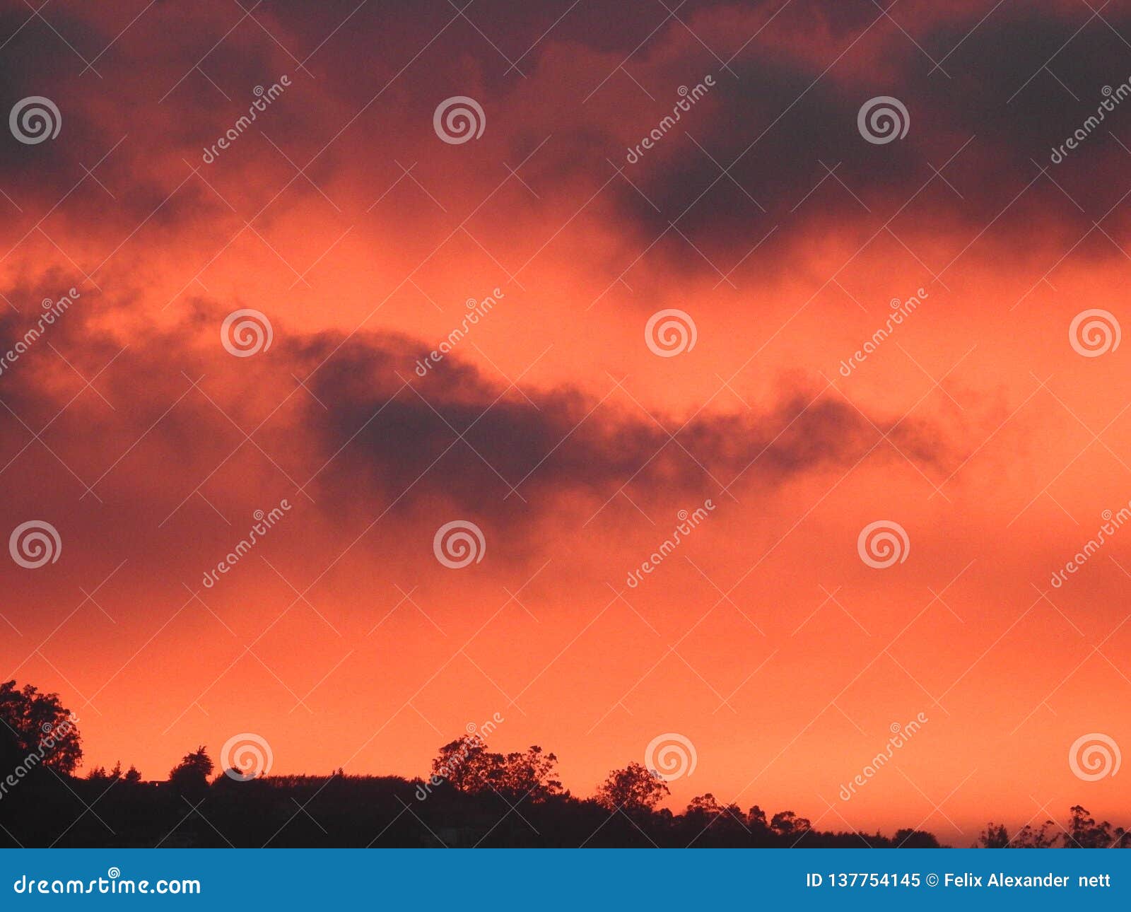 Sky on fire stock image. Image of sunset, fire, extremely - 137754145
