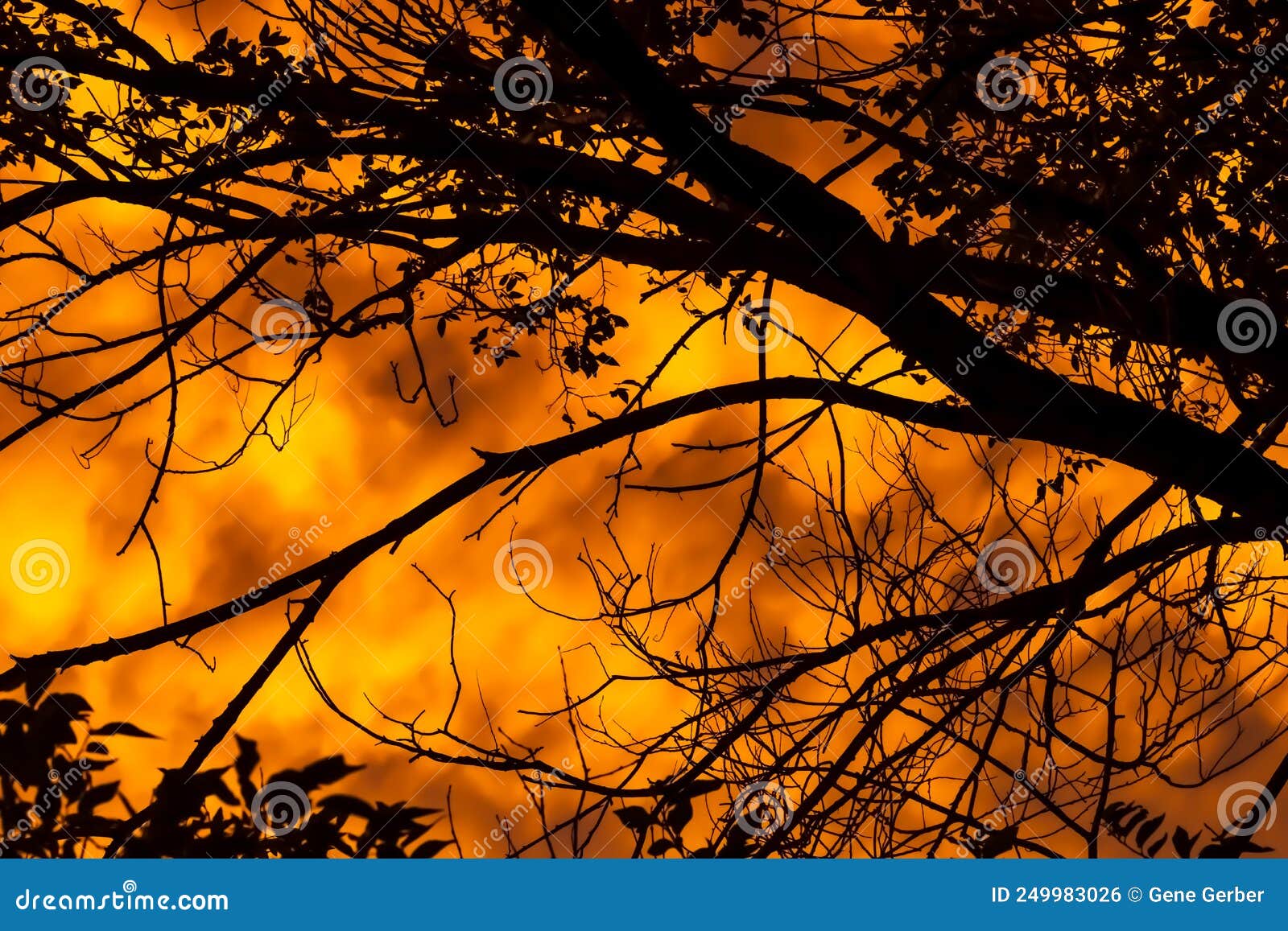 Sky on Fire stock photo. Image of beauty, light, sharp - 249983026
