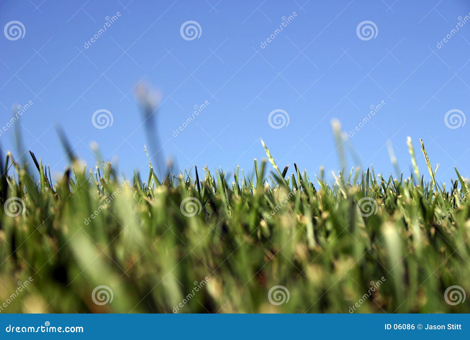 Sky Grass stock photo. Image of summer, environment, lawn - 6086