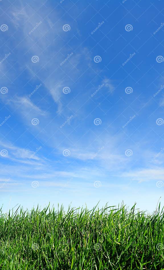 Sky and grass stock photo. Image of cloud, horizon, nature - 2287790