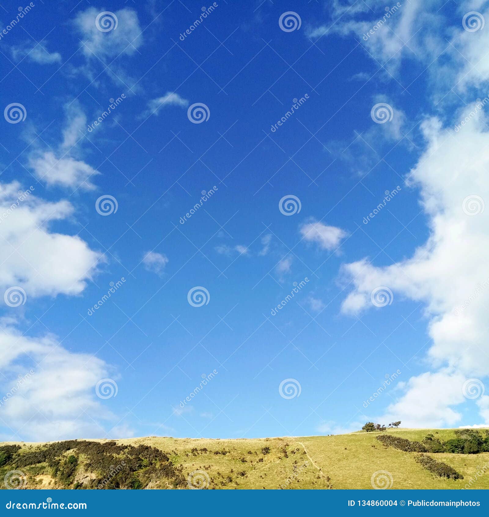 Sky, Grassland, Cloud, Ecosystem Picture. Image: 134860004