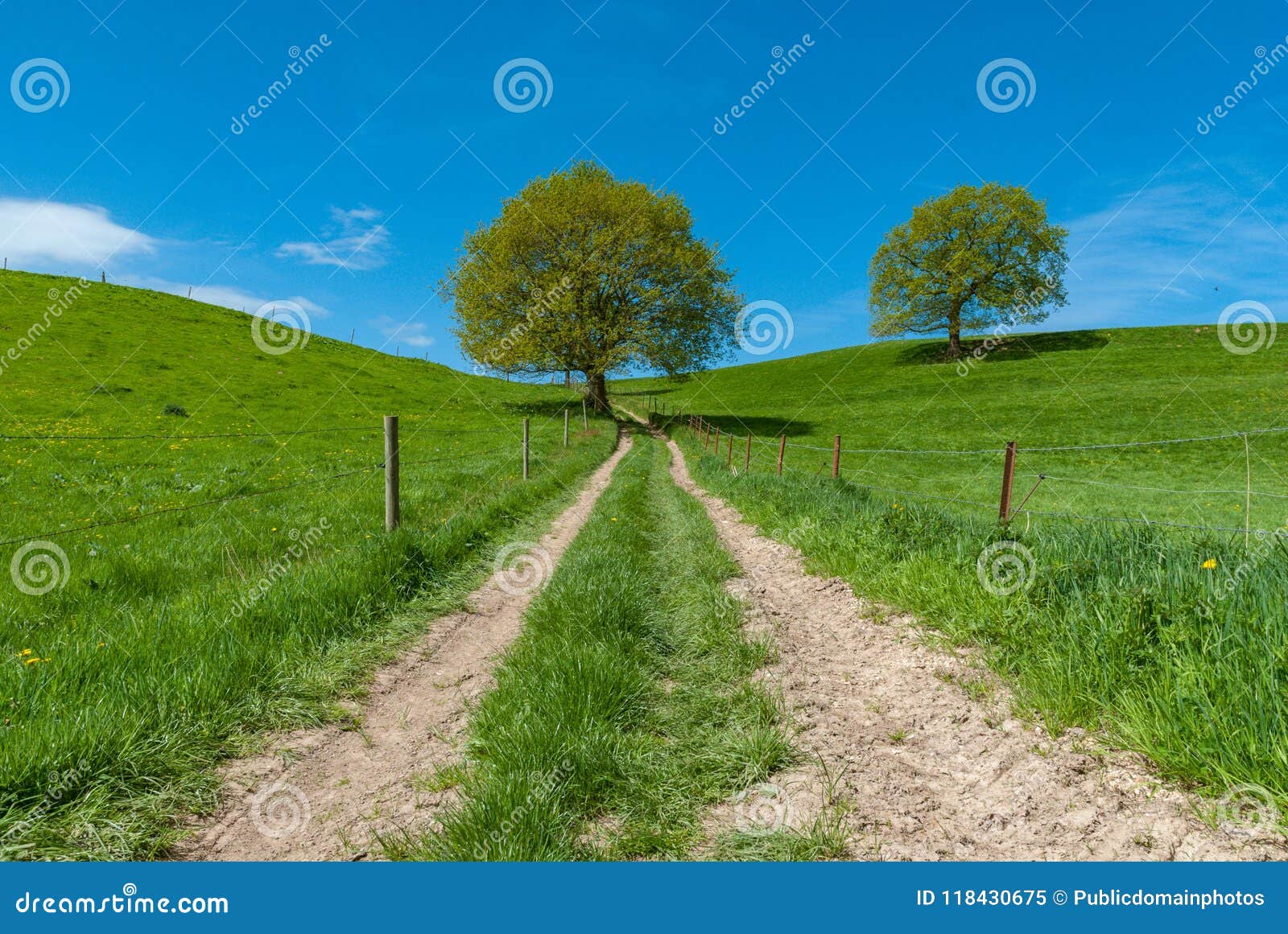 Sky, Grassland, Road, Path Picture. Image: 118430675