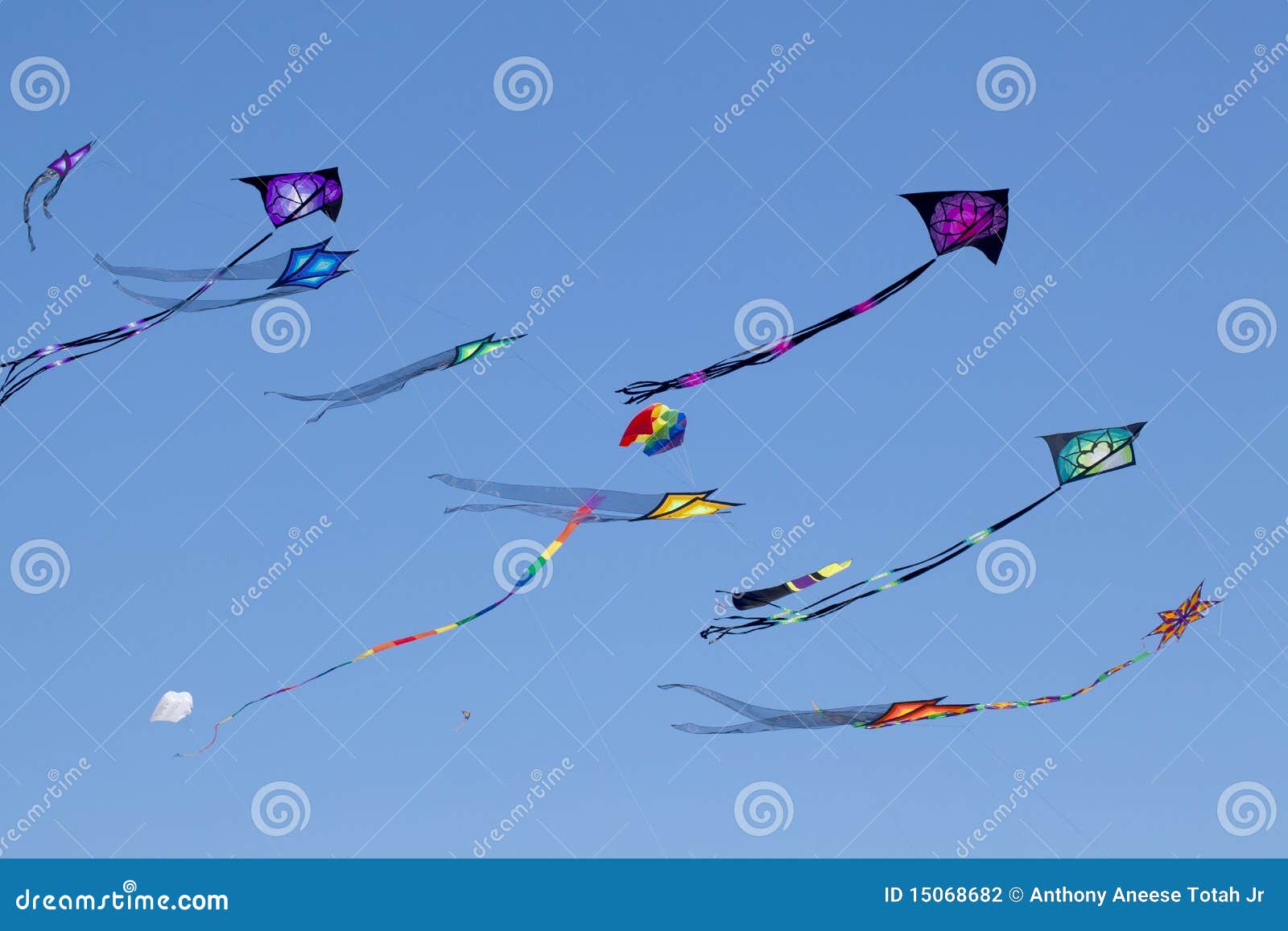 Sky of Kites stock photo. Image of jersey, event, festival - 15068682
