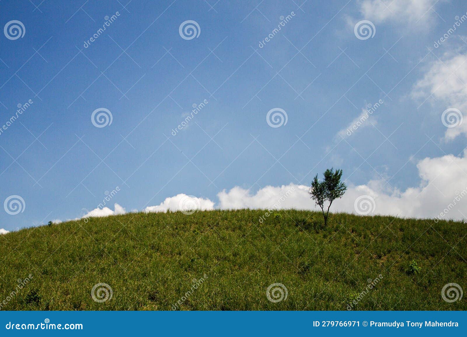 Land With Grass Burned By Fire. Stock Photography | CartoonDealer.com ...