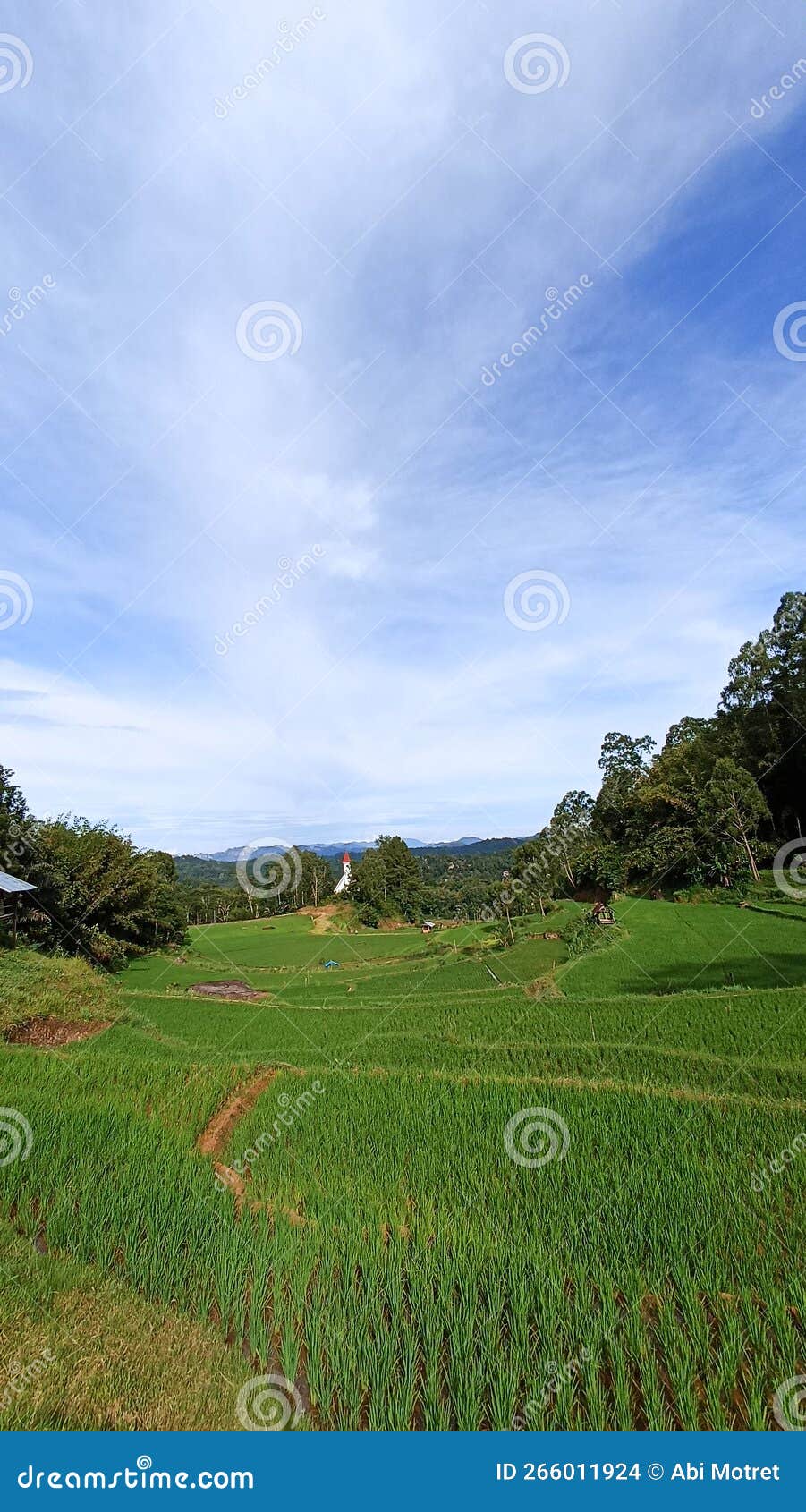 Sky upon the Landscape of Ricefield Stock Photo - Image of green, hill ...