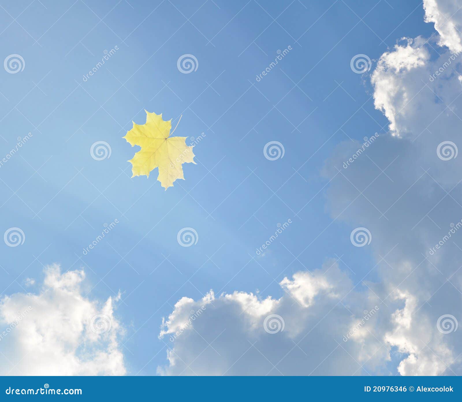 Sky and leaf stock photo. Image of cloud, fall, light - 20976346