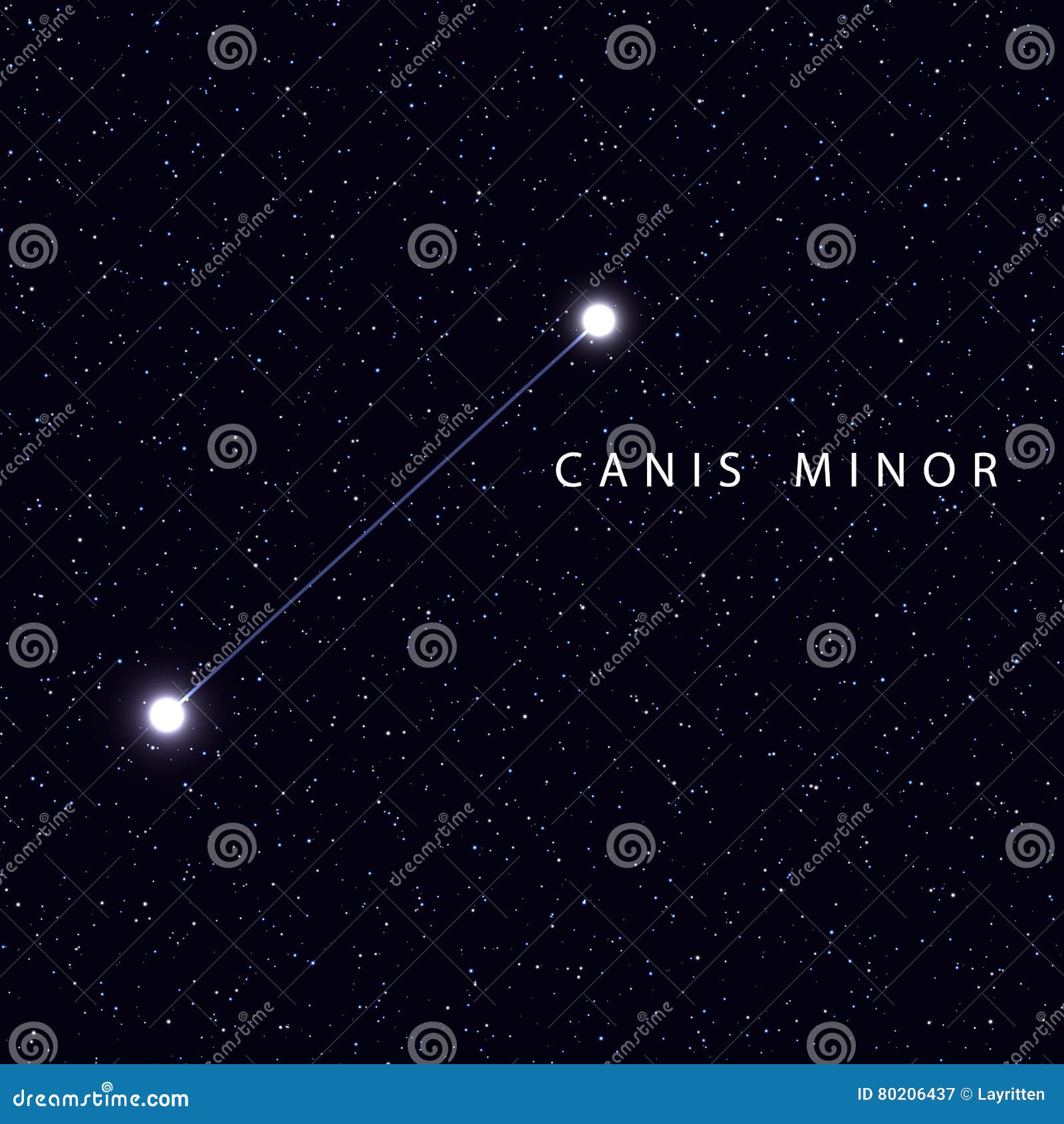Canis Minor Constellation In Golden Circle Cartoon Vector ...