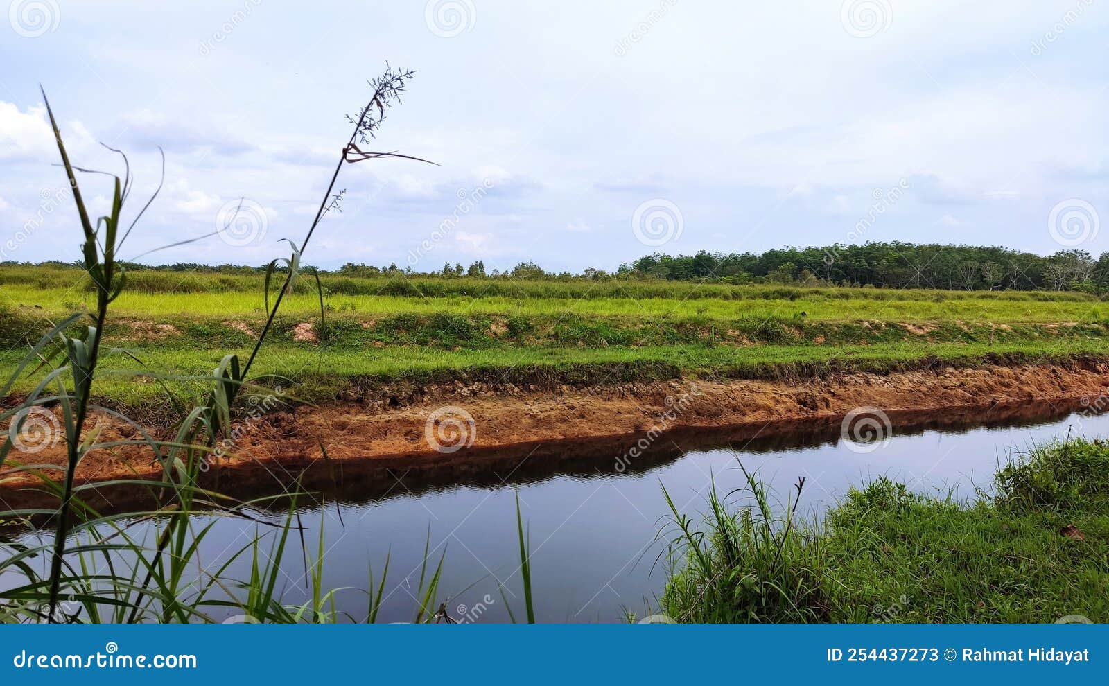 Sky, Meadow and River View for Background Stock Image - Image of ...