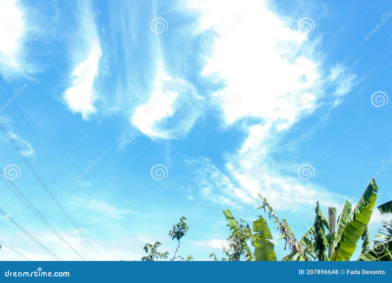 The sky at noon stock photo. Image of tree, green, horizon - 207896648