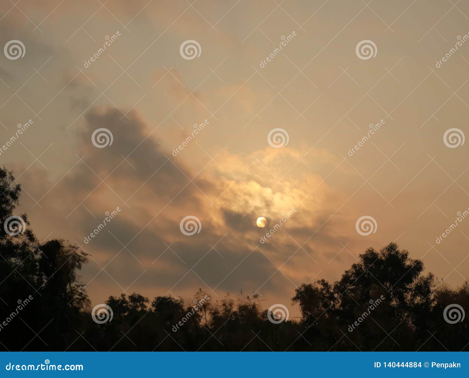 Shadow From A Tree Royalty-Free Stock Photo | CartoonDealer.com #126265467