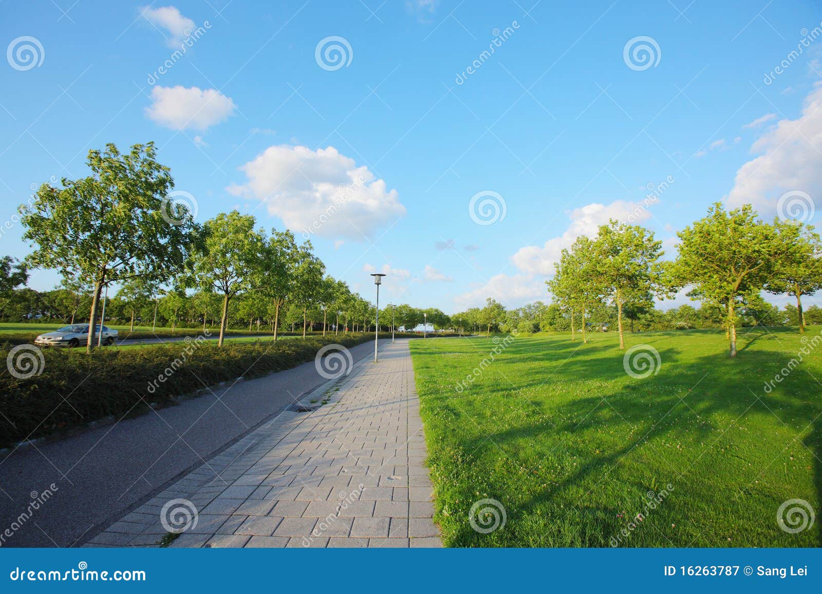 Sky on the park stock image. Image of beauty, sunlight - 16263787