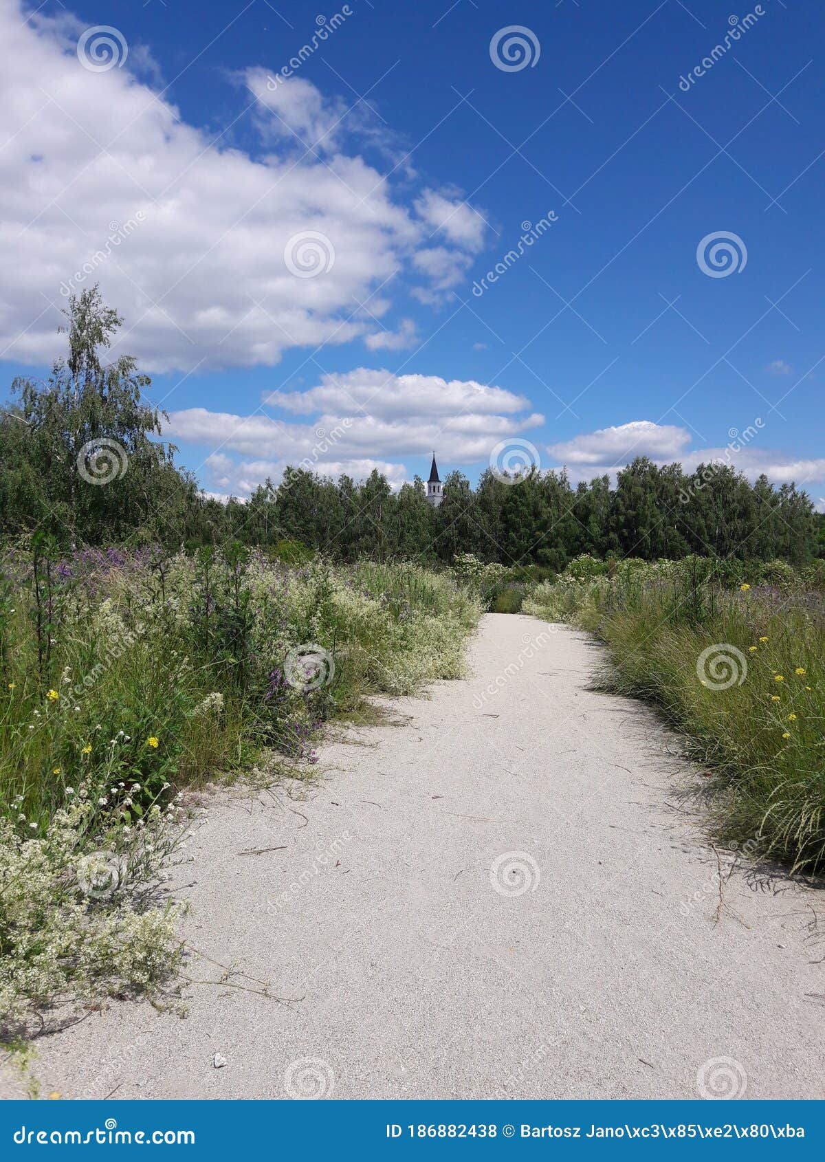 Sky and the Path between the Fields Stock Photo - Image of landscape ...