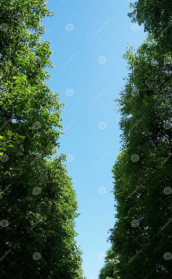 Sky path stock image. Image of natural, aerial, summer - 72155889