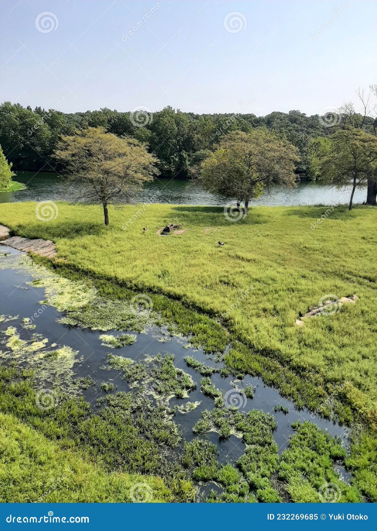 Sky ramp over a river! stock image. Image of cliff, rock - 232269685