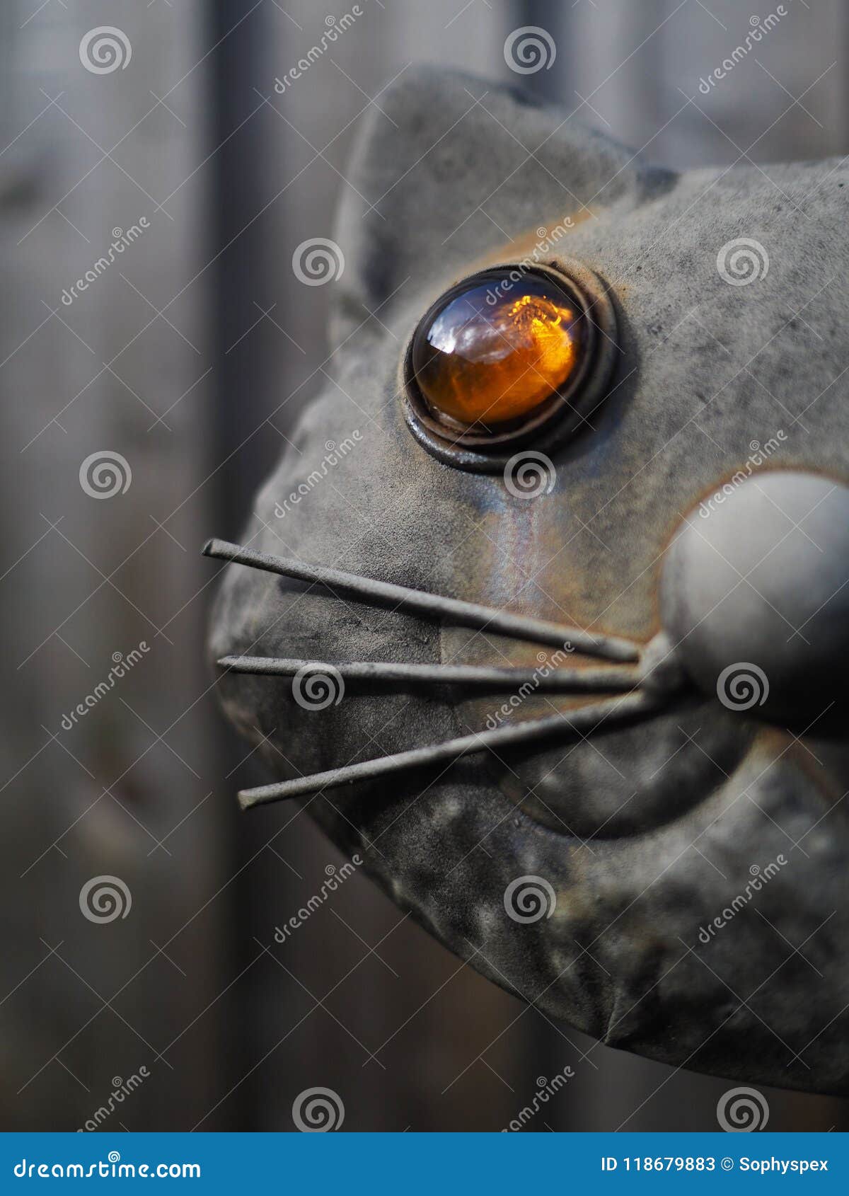 Sky Reflected in an Amber Cat Eye Stock Image - Image of metal ...