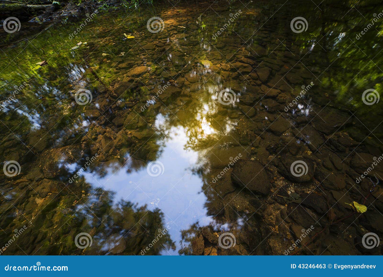 Sky Reflection in the Clear Water of Forest Stream Stock Image - Image ...