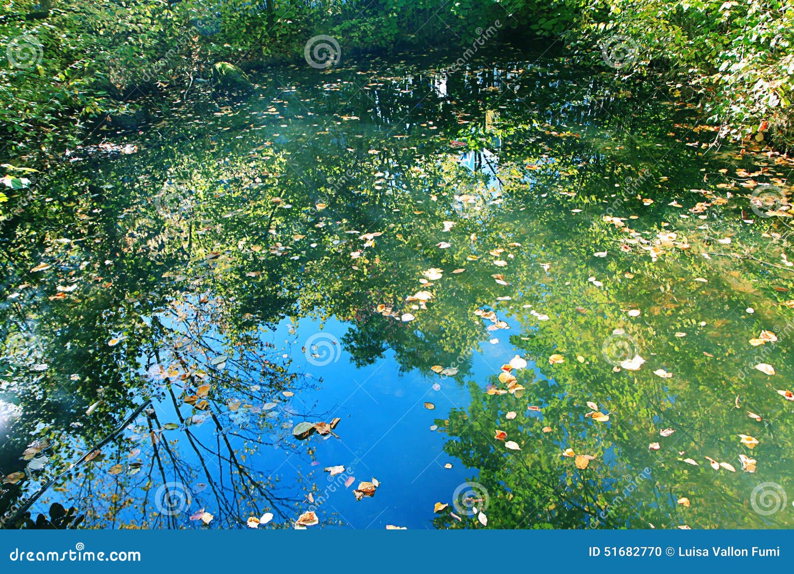 Sky reflection on pond stock photo. Image of nature, blue - 51682770