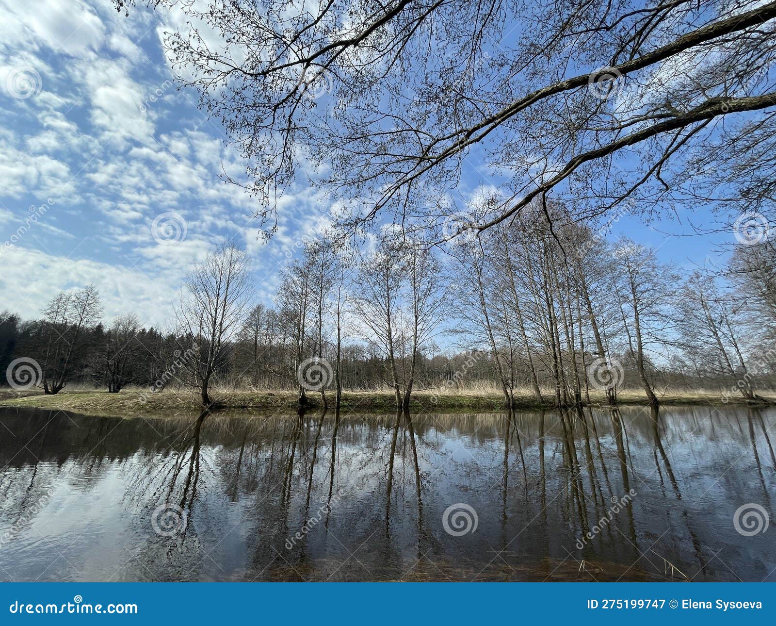 Sky Reflection in the Spring River! Stock Image - Image of spring ...