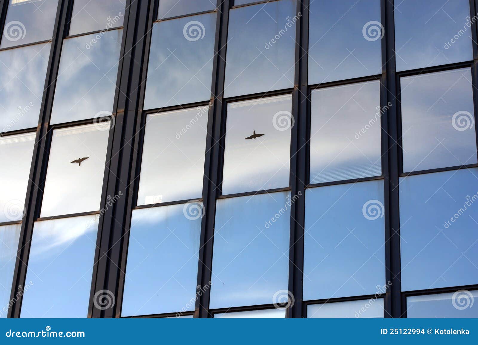 Sky Reflection on Windows with Black Birds Stock Photo - Image of bound ...