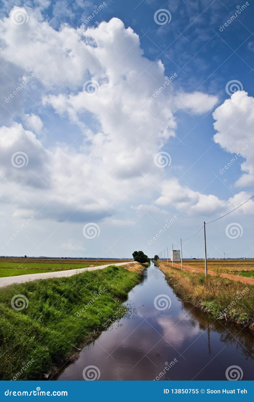 Sky. River. padi field stock image. Image of brown, blue - 13850755