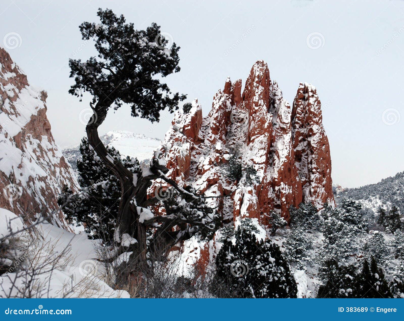 Sky rock tree stock image. Image of trail, walk, colorado - 383689